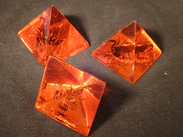 Pyramid - Scorpion [Bugs > Jewellery] – Naturally Wild Australia