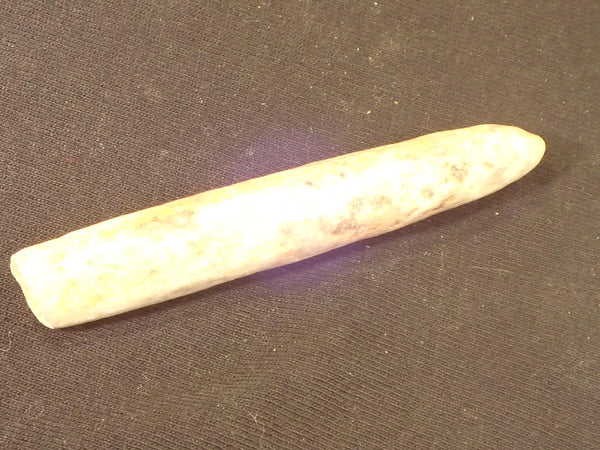 Belemites [Fossils] – Naturally Wild Australia